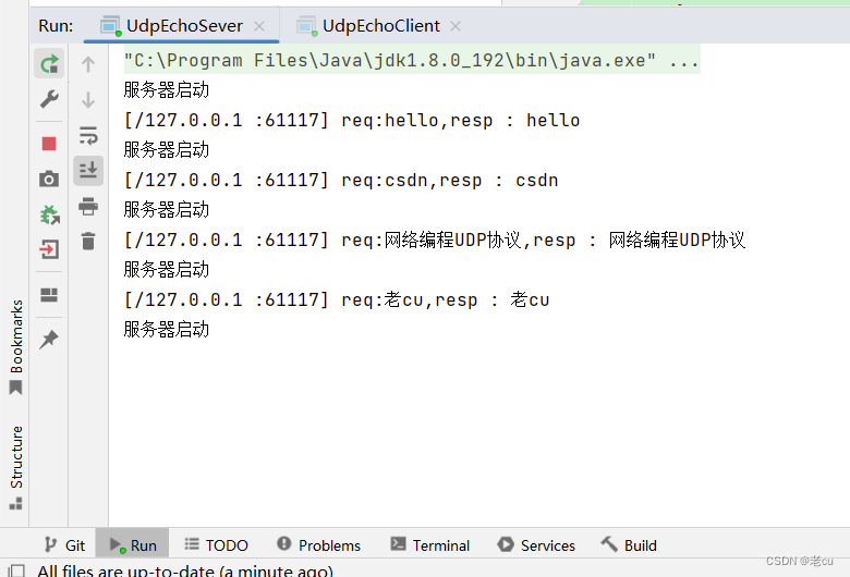 [网络编程]UDP协议，基于UDP协议的回显服务器_udp协议 java-CSDN博客