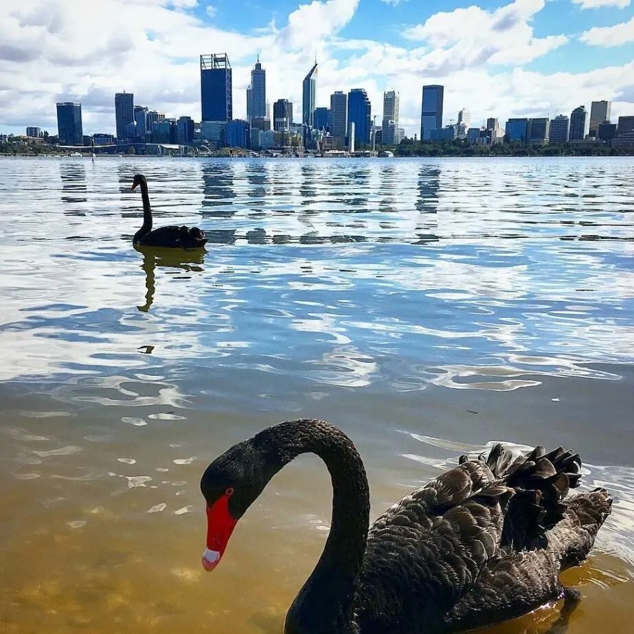 西澳大学（The University of Western Australia）-CSDN博客