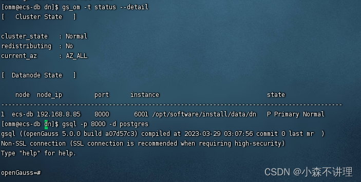 openGauss数据库配置详解：pg_xlog,pg_hba.conf及连接参数,-CSDN博客