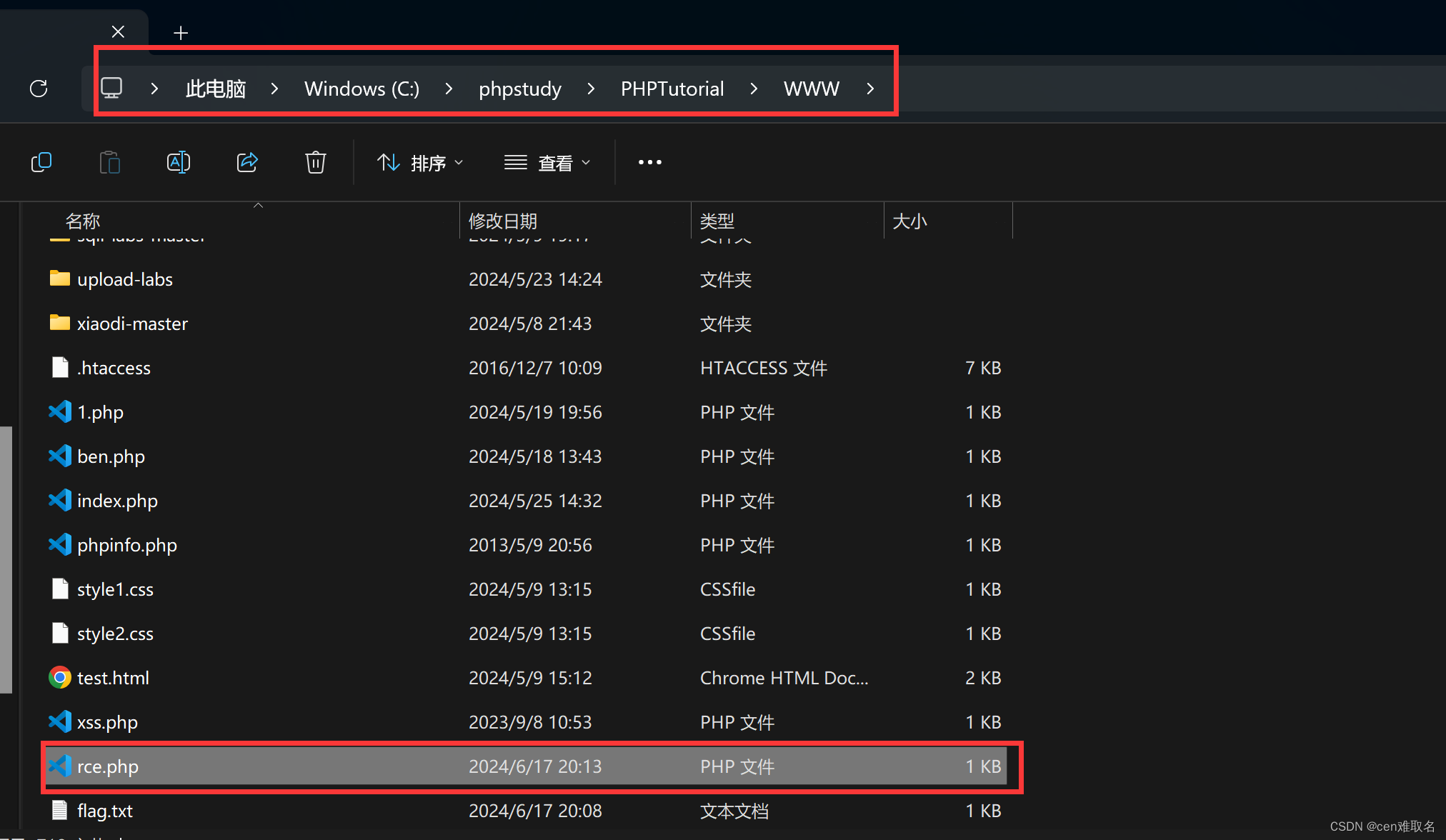 Ctfshow之rce代码命令远程执行第49关详细讲解。可私信！ctf Echo执行远程代码 Csdn博客