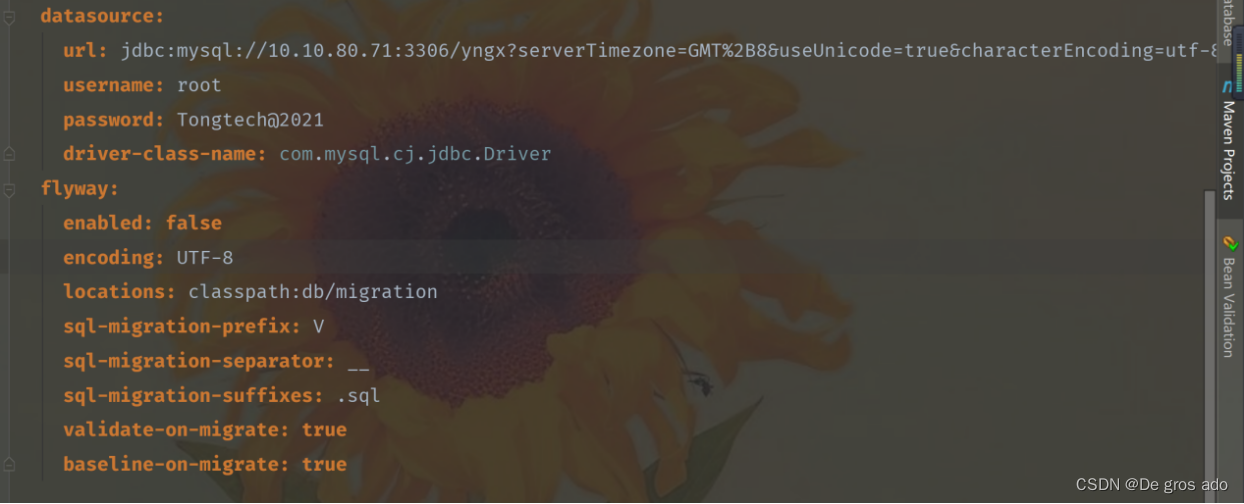 FlyWay实现数据库动态迁移_flyway baseline-on-migrate-CSDN博客