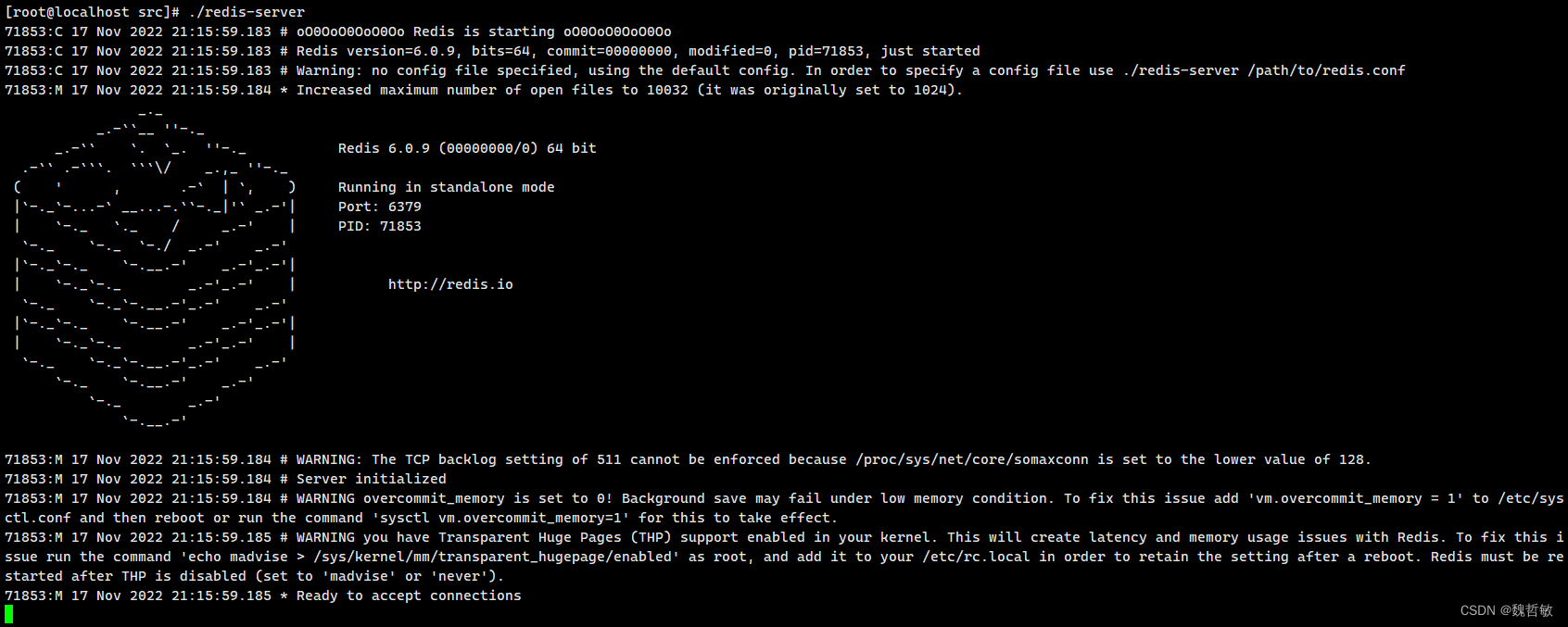 linux系统安装redis-6.0.9_linux 安装redis6.0.9-CSDN博客