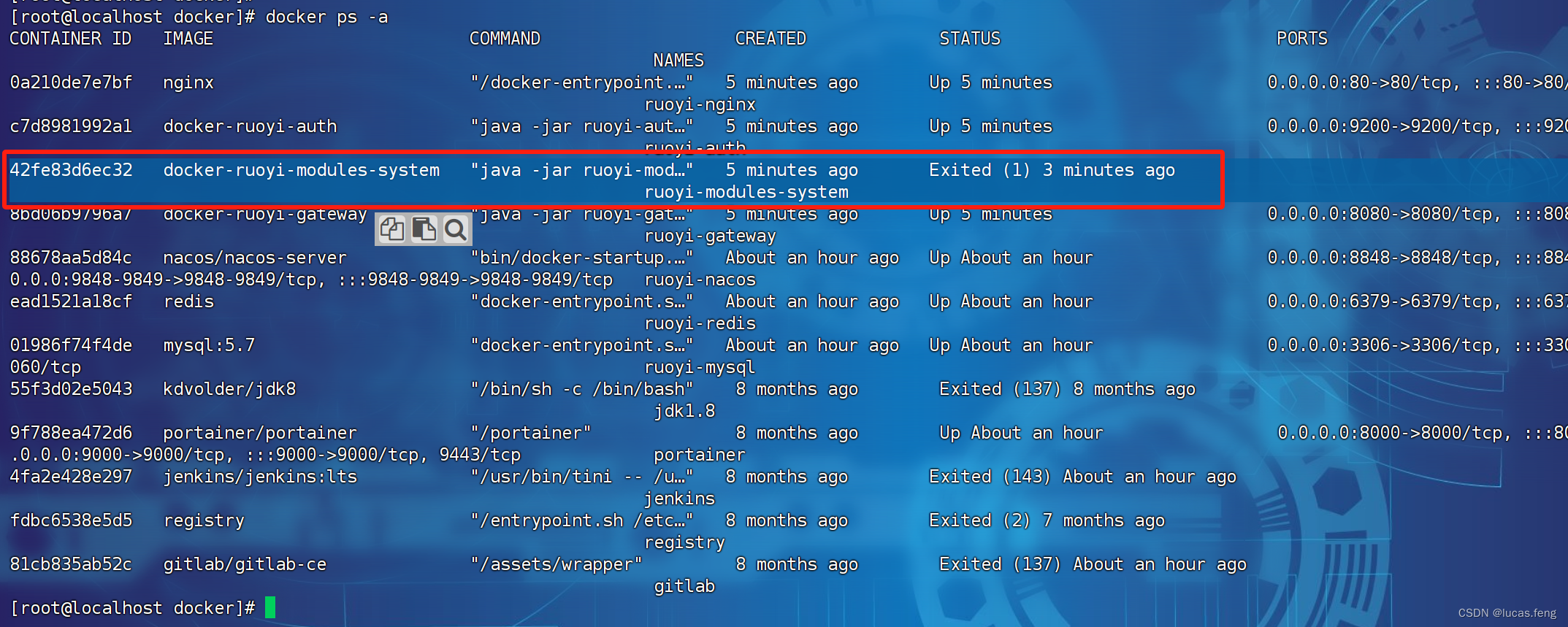 【新手必看】基于Docker 部署RuoYi-Cloud，简单粗暴_docker部署ruoyi-cloud-CSDN博客