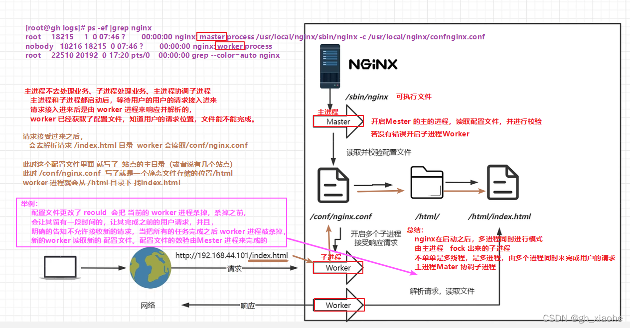 02nginx目录结构与基本运行原理、nginx基础配置nginx 监听的基础目录 Csdn博客