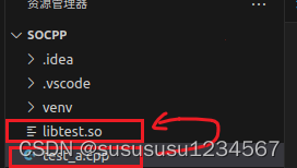 Ubuntu C++(vscode)在python(pycharm)中使用以及.so文件使用_vscode python编译so-CSDN博客