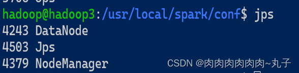Hadoop集群启动后,在web:50070端口只有两个datanode节点_jps - 只有两个节点-CSDN博客