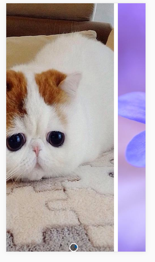 Vue Swiper轮播组件使用教程-CSDN博客