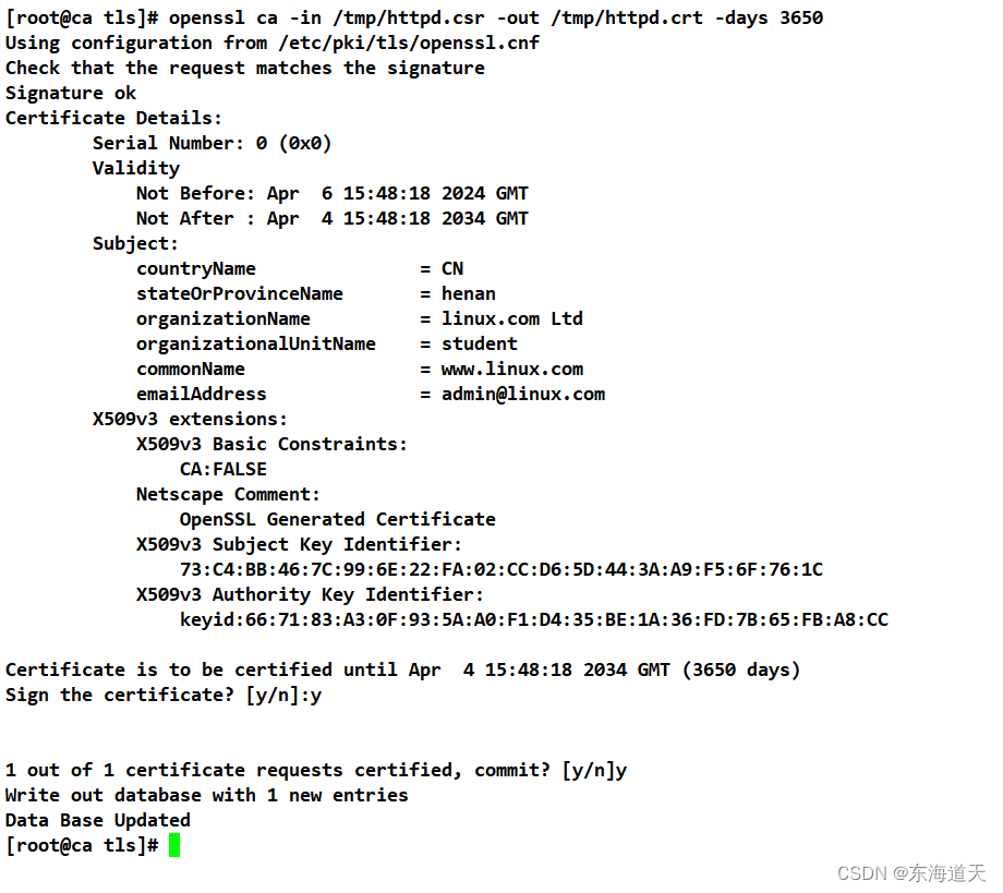 Apachehttpd高级配置：虚拟主机、HTTPS及CA服务器设置详解-CSDN博客