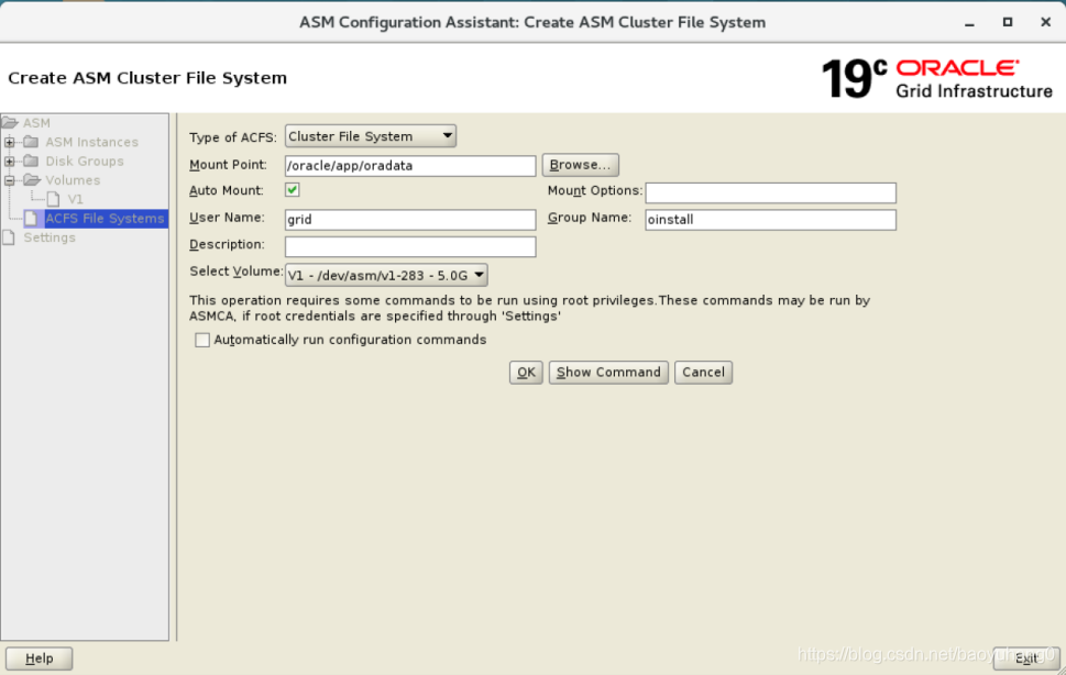 Oracle 19C ADVM与ACFS的使用_cadence advm是什么-CSDN博客