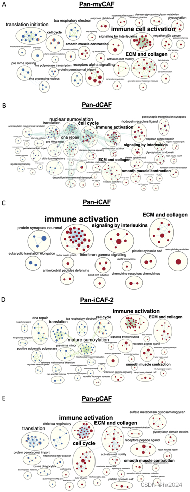 肿瘤相关成纤维细胞分型及单细胞深入研究（文献）_pancaf-CSDN博客