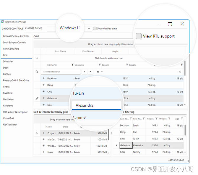 如何让WinForms应用程序拥有Windows 11设计主题？_winform win11 界面-CSDN博客
