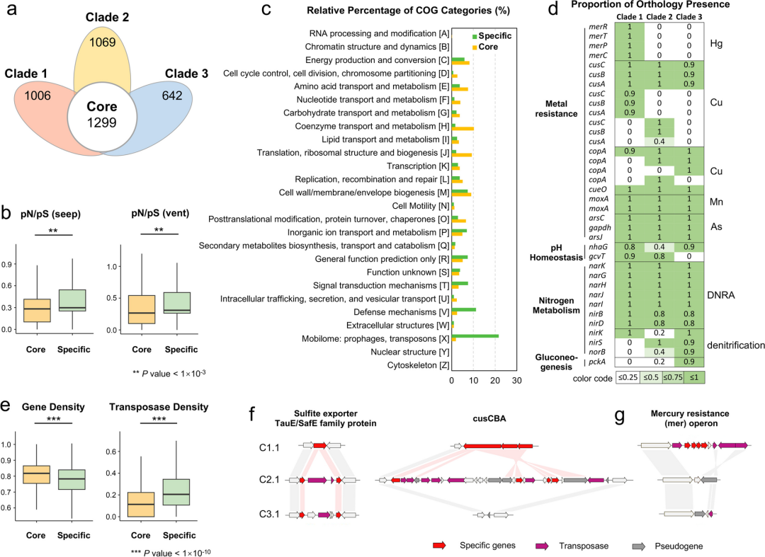 Microbiome | 海洋所在深海偏顶蛤甲烷氧化共生菌环境适应性进化研究获新进展-CSDN博客