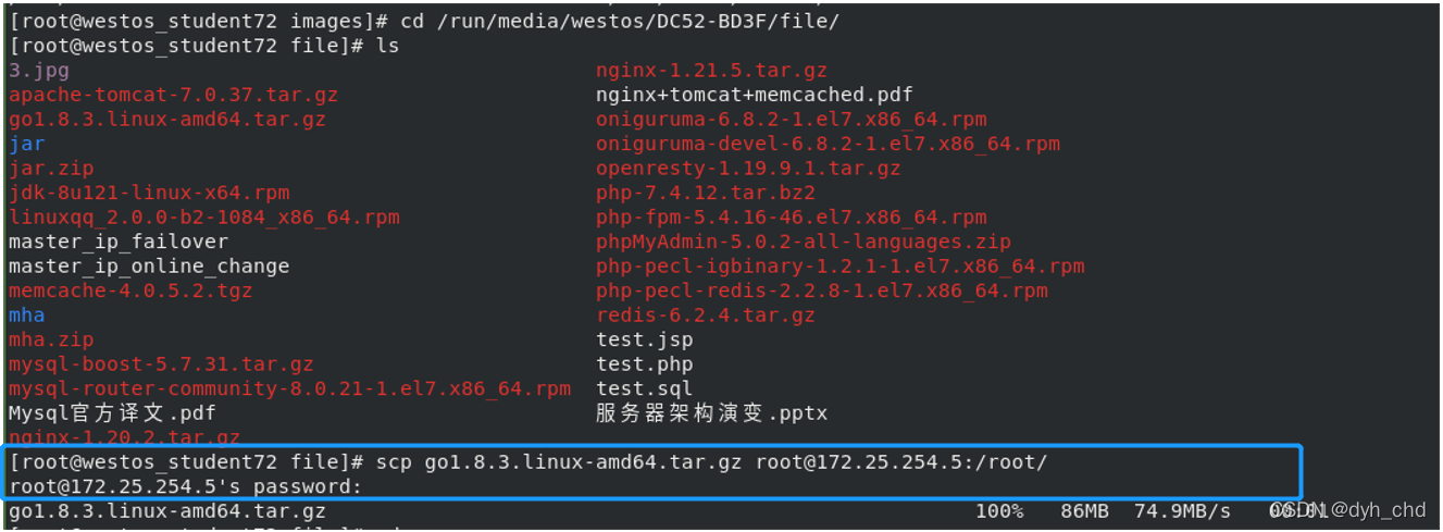 Go环境与Codis集群部署-CSDN博客