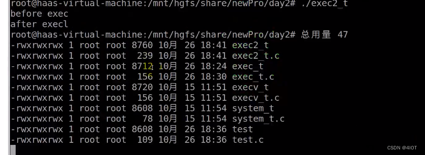 lv5 嵌入式开发-2 exec函数族-CSDN博客