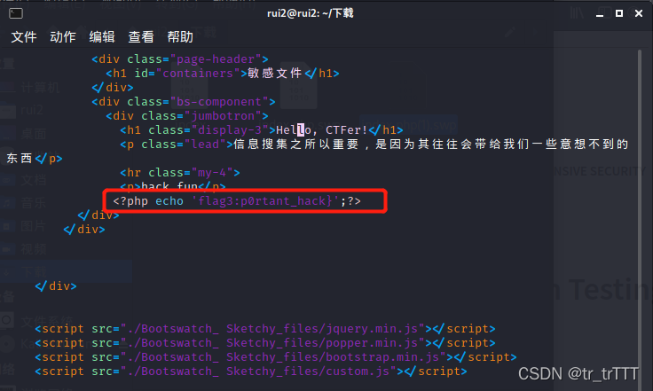 《从0到1：CTFer成长之路》常见的搜集_ctf web vim恢复-CSDN博客