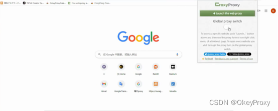 海外 proxy代理Croxyproxy使用教程-CSDN博客