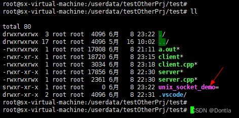 C++ unix域套接字（Unix domain socket）客户端服务端代码示例demo、抽象套接字（Abstract Socket）-CSDN博客