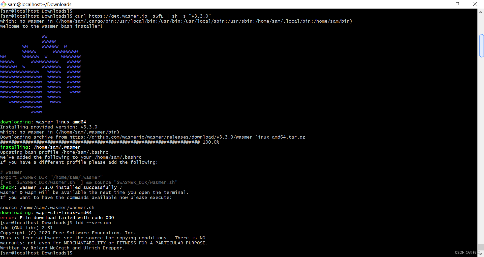 基于 Rust 的 Wasm/Wasi 开发探索与实践（Linux开发环境）_wasi安装-CSDN博客