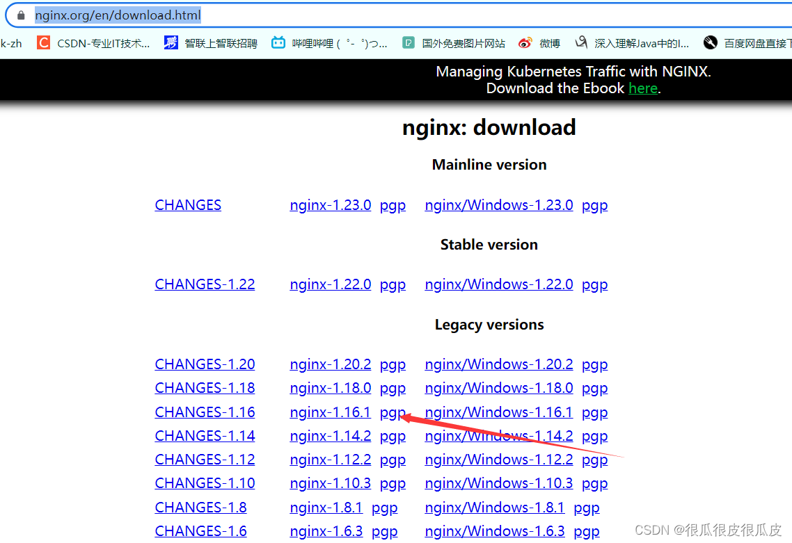 今天来细聊下如何在centos安装nginx_输入ip进入nginx-CSDN博客