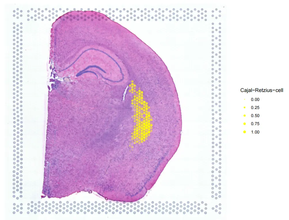 10X空间转录组绘图分析之体现两种细胞类型的空间位置_空间转录组coord-CSDN博客