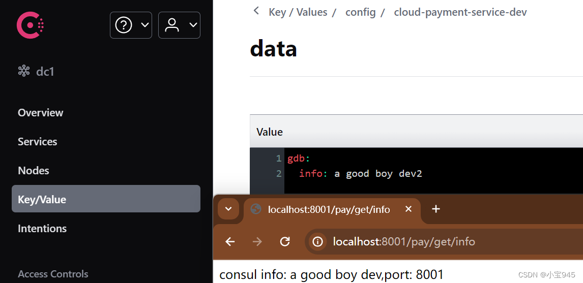 SpringCloud——consul-CSDN博客