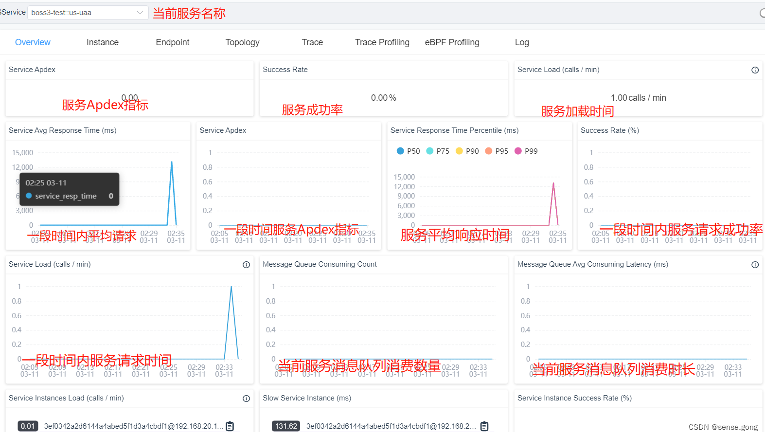 SkyWalking_apm性能监控指标介绍_skywalking apm-CSDN博客
