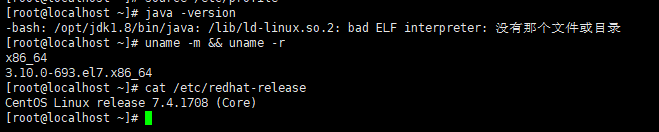 执行java -version报错 /lib/ld-linux.so.2: bad ELF interpreter_java ld-linux.so.2-CSDN博客