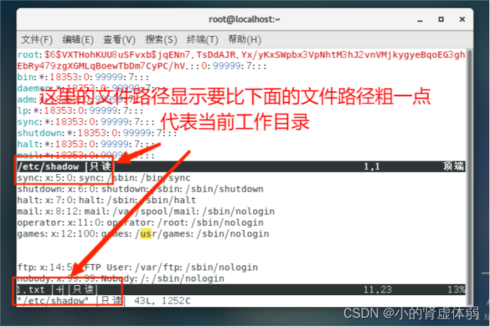 Linux系统vim文本编辑器基础的操作linux Vim Ctrlv Csdn博客