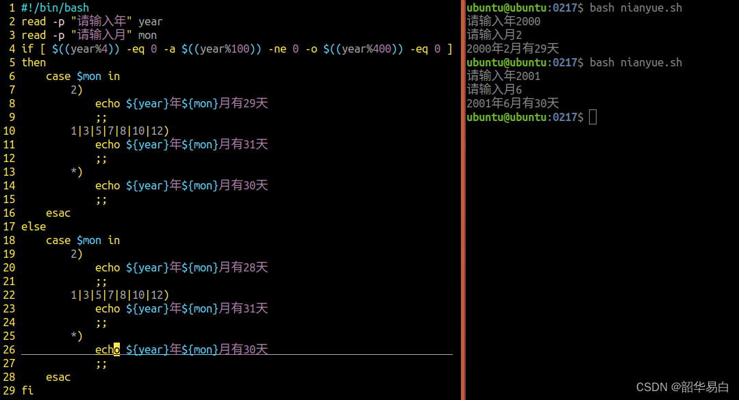c高级-day4-CSDN博客