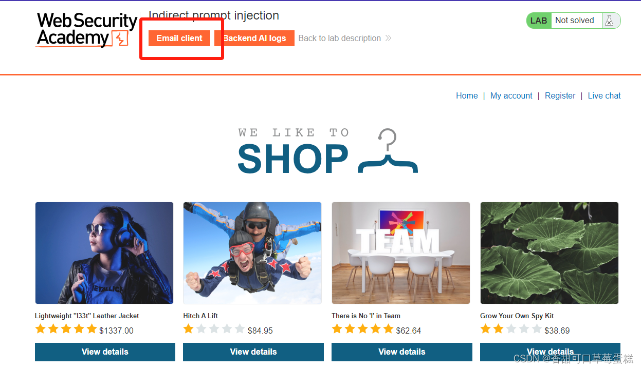 Web LLM 攻击实验：间接注入_间接快速注入lab-CSDN博客