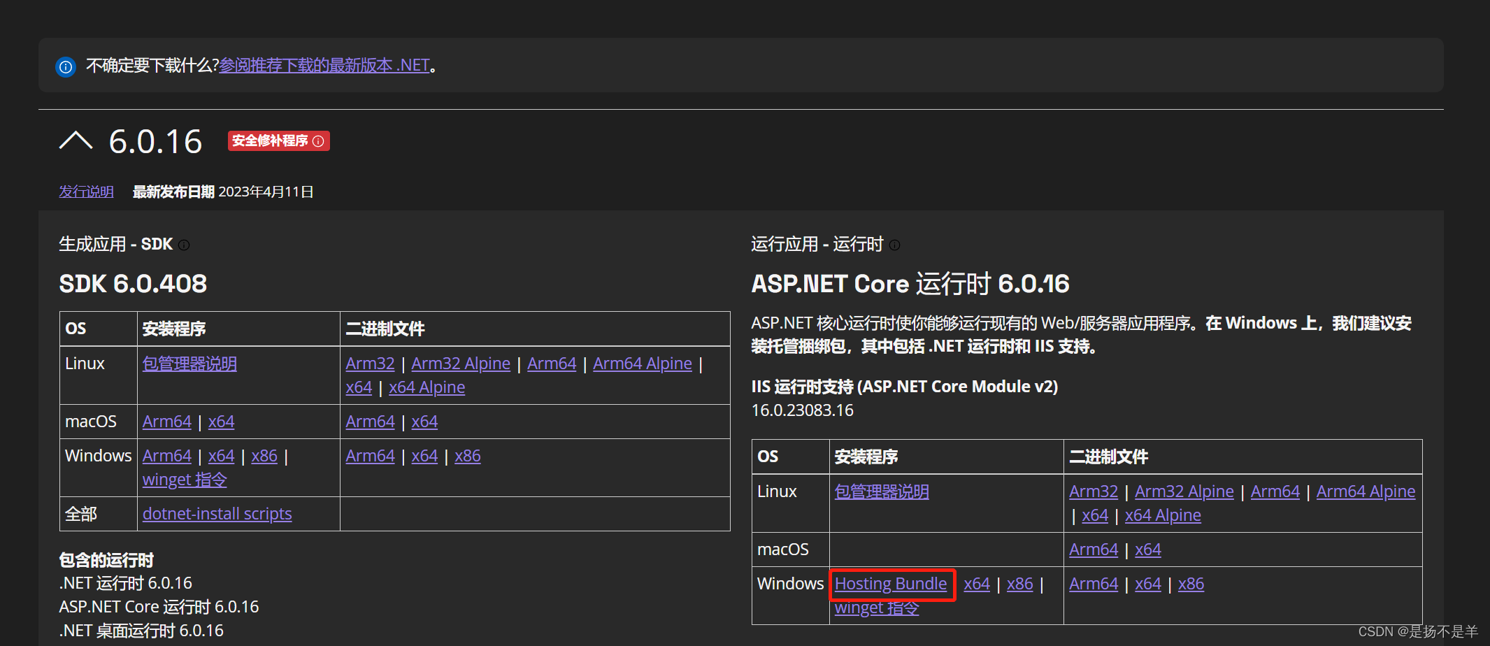 IIS 部署 .Net Core 避坑指南_iisbus。netcore-CSDN博客