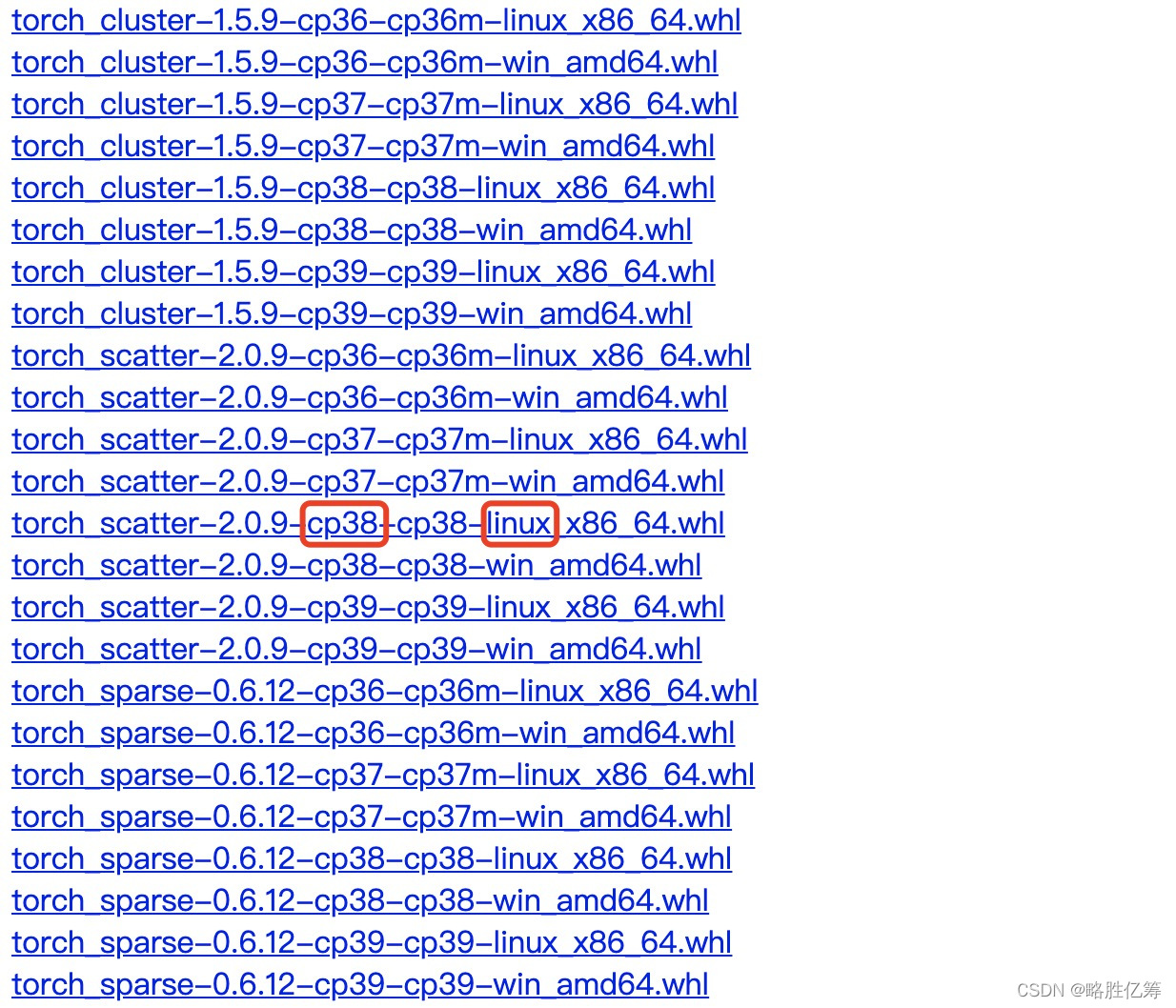 安装torch_scatter，torch_sparse_torch-scatter==2.0.9-CSDN博客