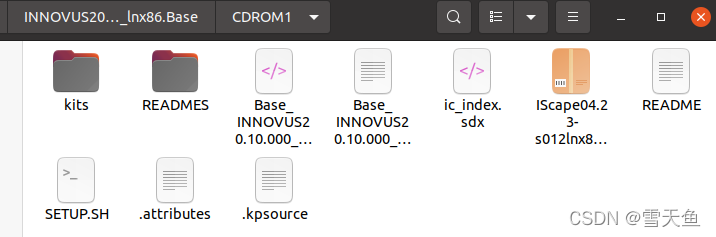 Cadence Innovus2020 在Ubuntu20.04上的安装教程【超详细】_innovus安装-CSDN博客