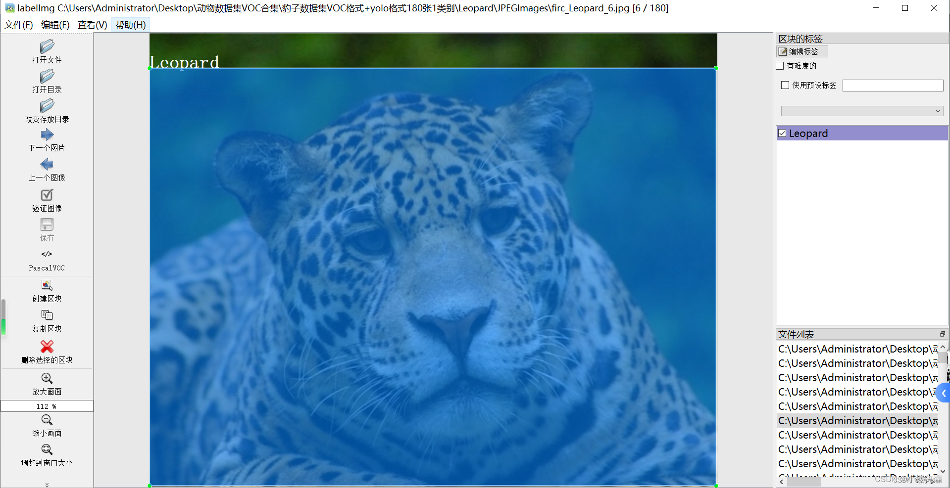 豹子目标检测数据集VOC格式180张-CSDN博客