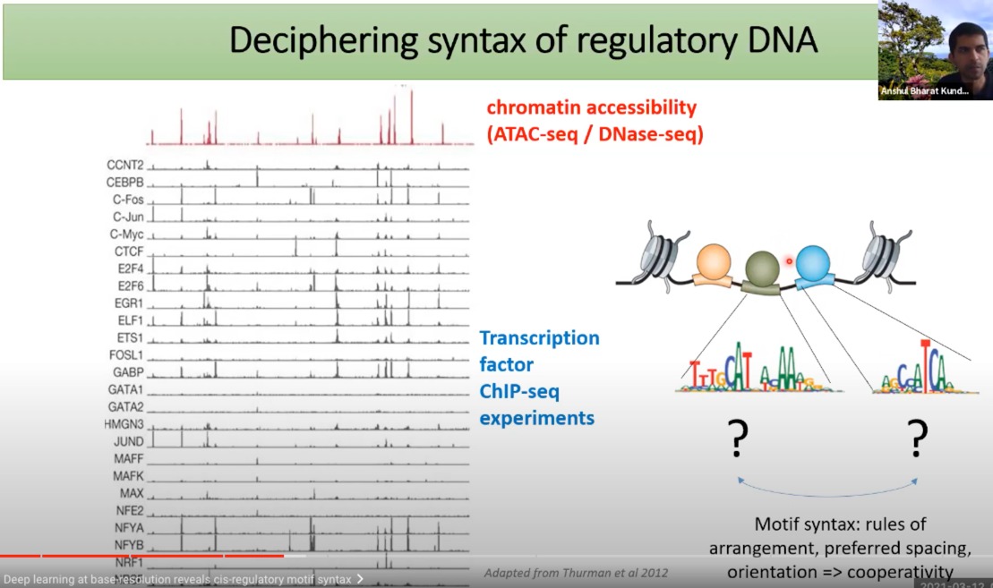 【Regulatory Genomics】Part2 BPNet、DeepLIFT-CSDN博客