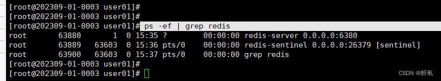 【linux】麒麟v10安装Redis哨兵集群（ARM架构）_redis arm-CSDN博客