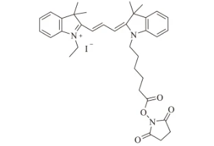 Cy3-E SE，Cy3-E 琥珀酰亚胺酯，可被用于动物活体成像_cy3,se-CSDN博客