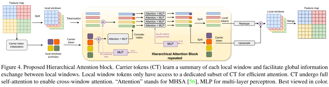 FasterViT：具有分层注意力的快速ViT_fastvit的python代码-CSDN博客