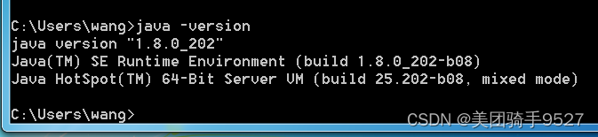 Windows安装JDK8-jdk1.8.0_202步骤记录_jdk8 202-CSDN博客