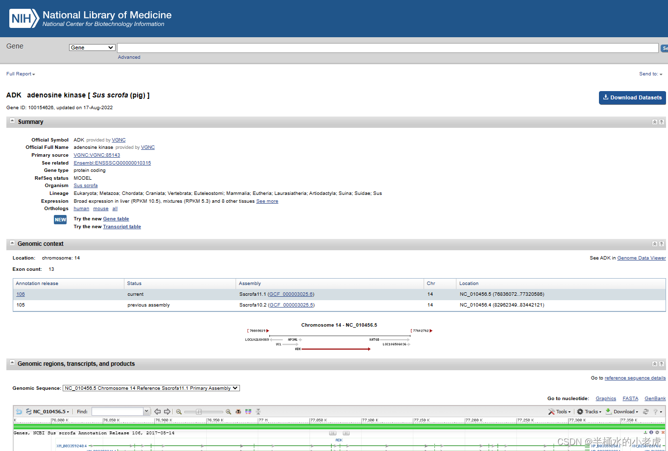 检索NCBI中的ADK基因：猪的基因研究-CSDN博客