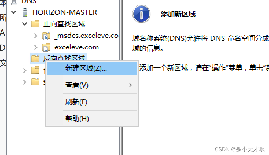 Horizon环境搭建练习-第2章-AD和DNS配置_vmware horizon 路由器配置反向dns-CSDN博客