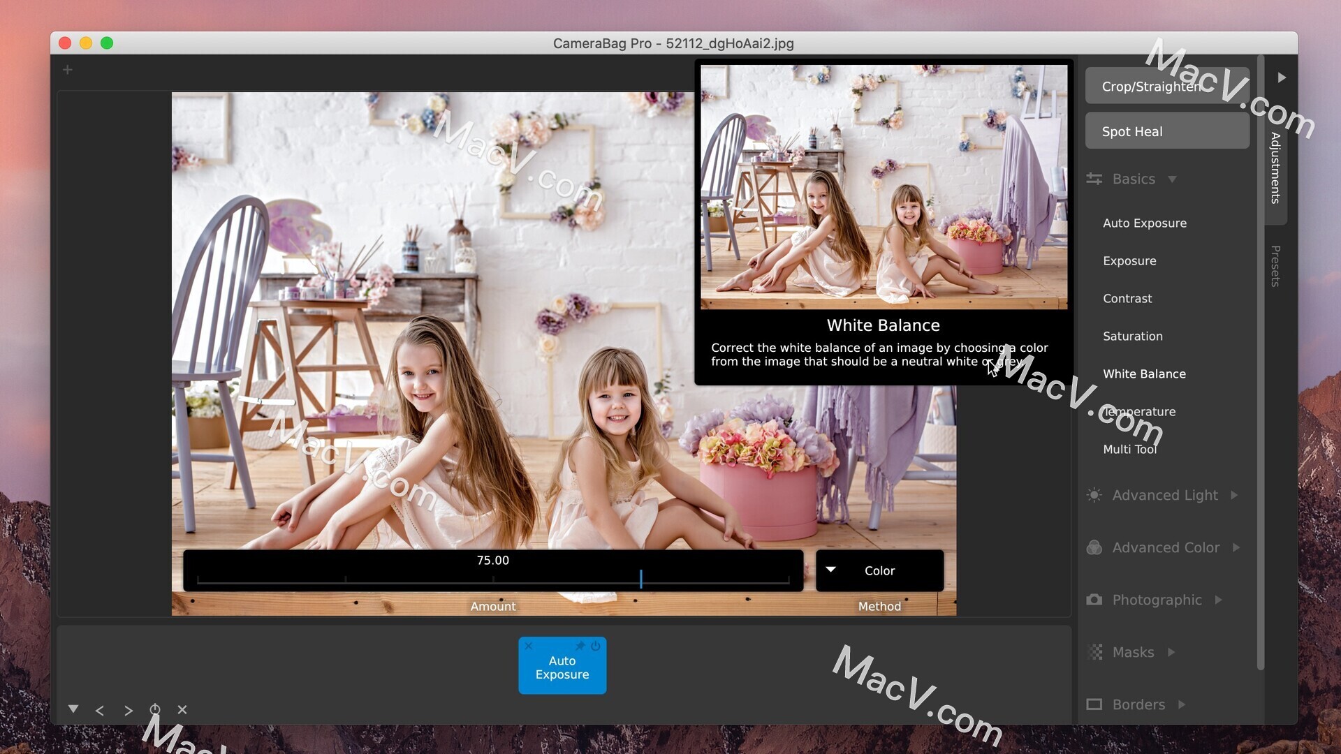 Nevercenter CameraBag Pro for Mac(图像处理工具)v2024.1版-CSDN博客