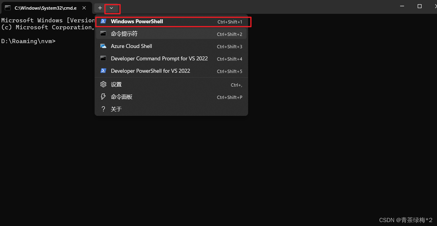 安装nvm切换多个nodejs_nodejs切换到位-CSDN博客