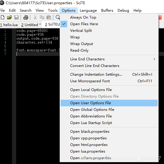 Lua Windows安装以及编辑器使用lua Data Editor Csdn博客