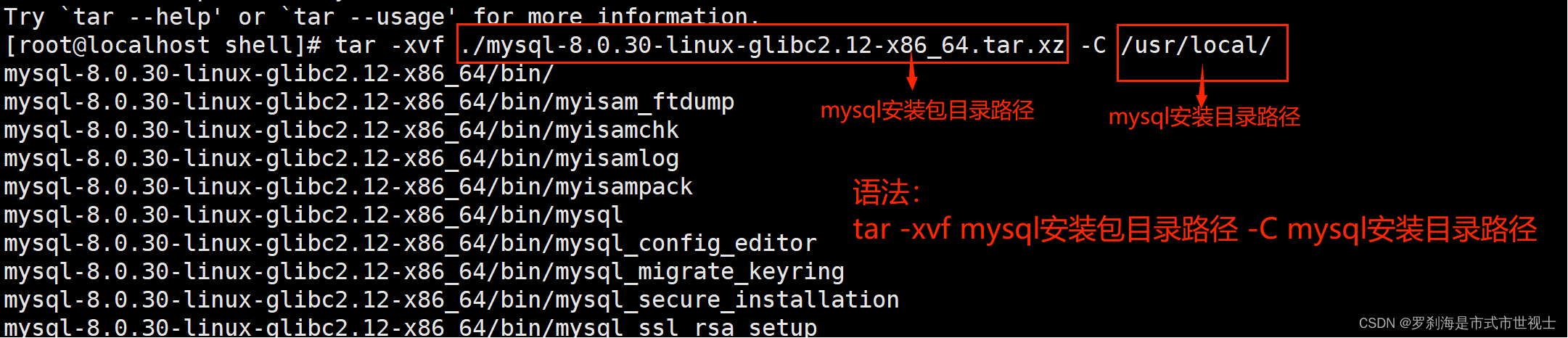 Linux基础配置：虚拟机设置、MySQL安装与初始化-CSDN博客