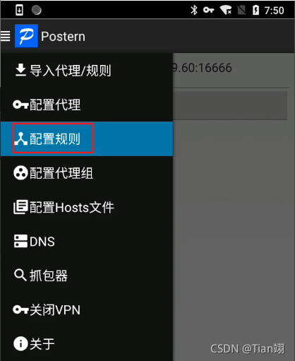 Charles+Postern抓包-CSDN博客