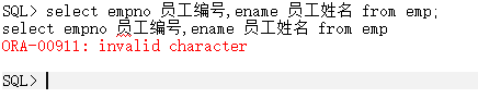 成功解决 PL/SQL Developer 报错 ORA-00911: invalid character-CSDN博客