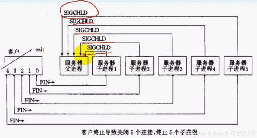 （P11）socket编程（六）：TCP回射客户/服务器、TCP是个流协议、僵进程与SIGCHLD信号_socket sigchld-CSDN博客