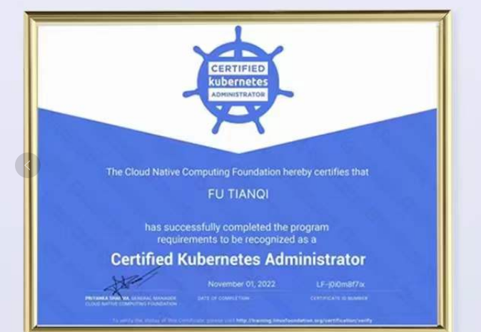 K8S容器技能认证 -CKA&CKS认证从零到一_cka认证-CSDN博客